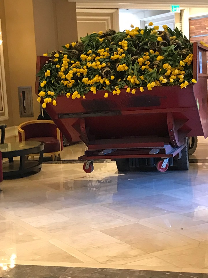 My 5:45 AM Walk at The Bellagio – Workplace Navigator