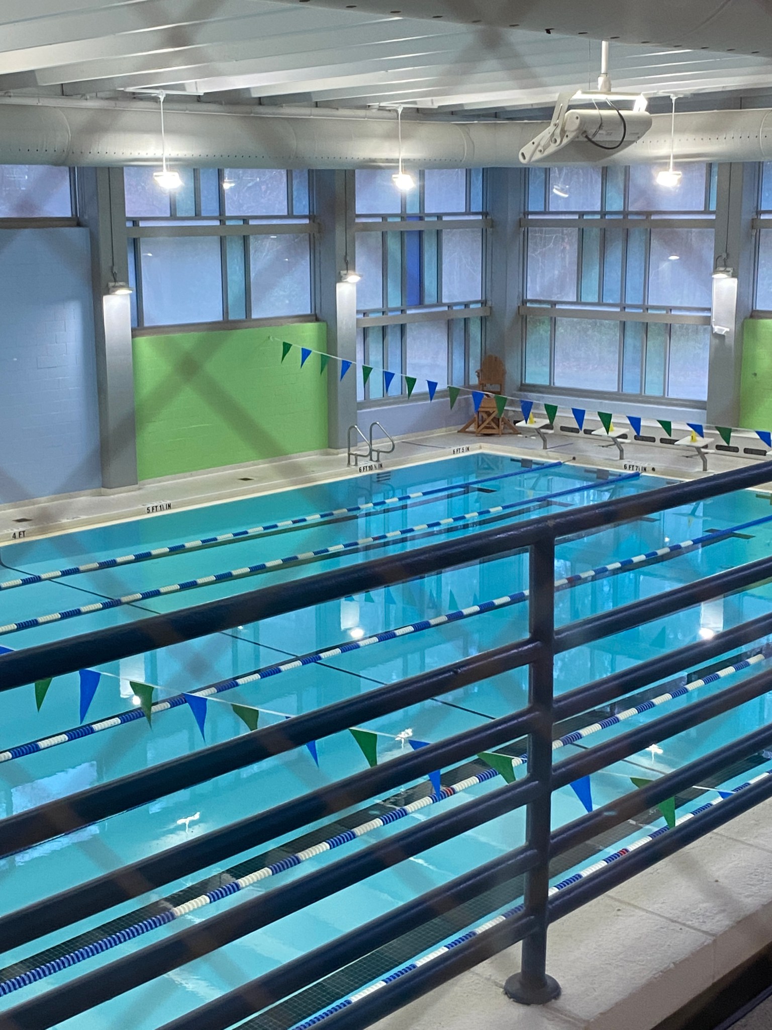 6 Benefits of a Morning Swim – Workplace Navigator