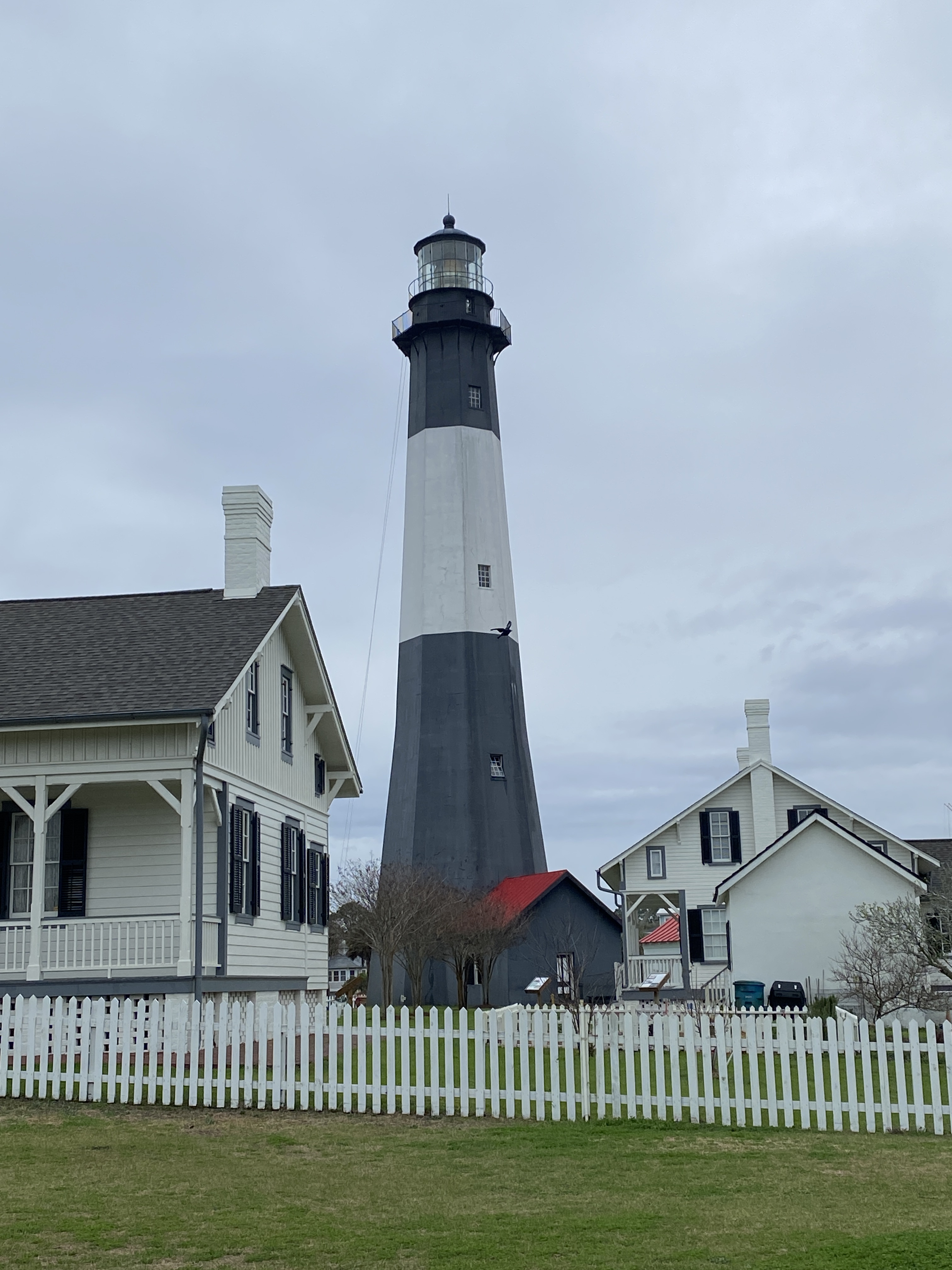 🏖️6 Surprises at Tybee Island – Workplace Navigator