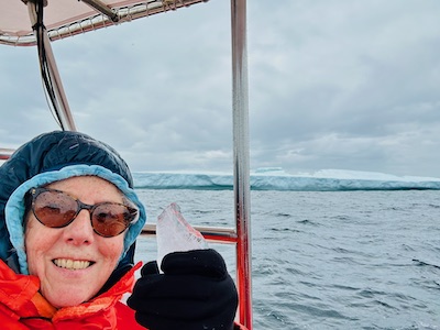 🧐Iceberg Hunting – Workplace Navigator