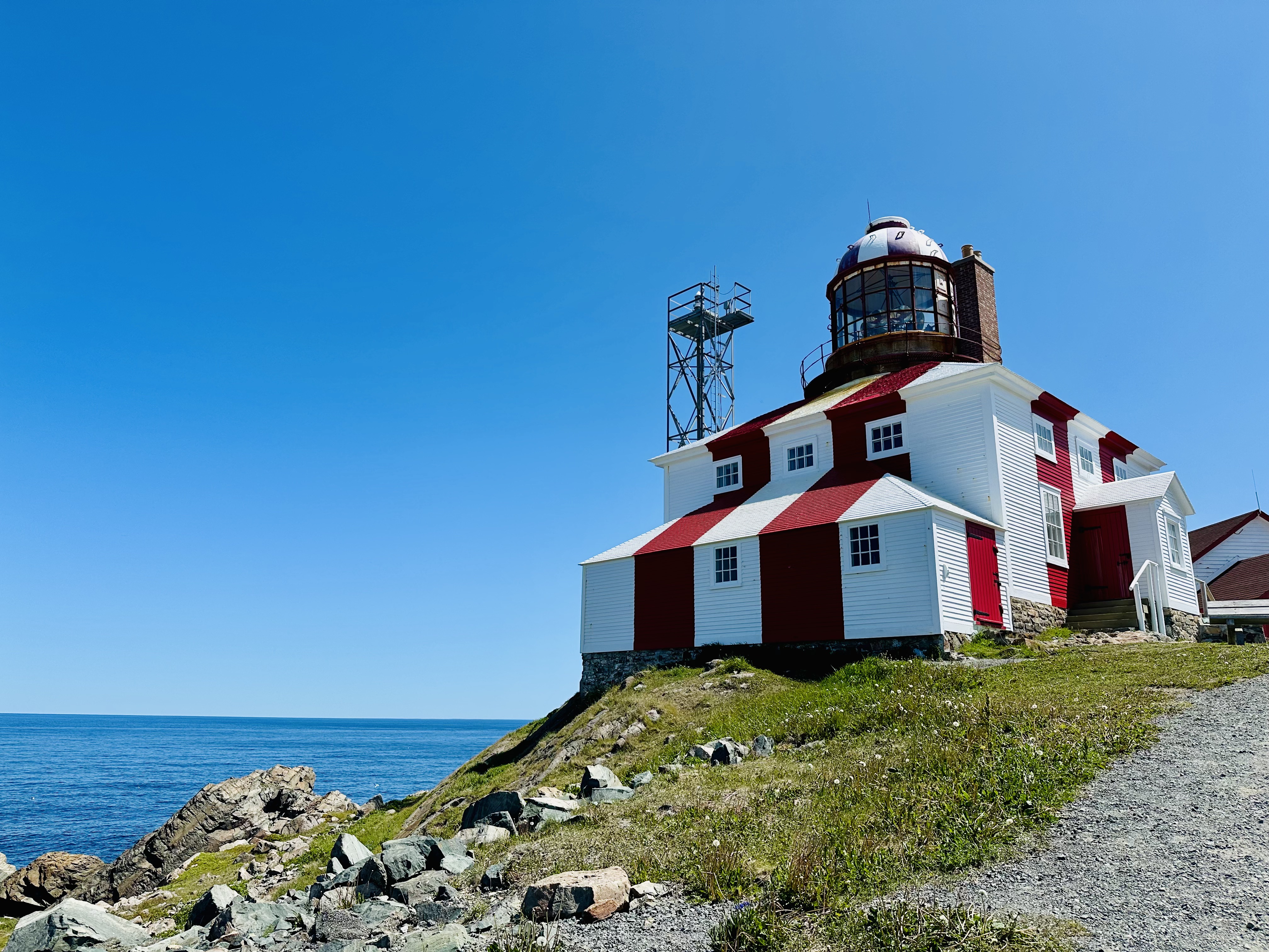 🐳 Puffins, Whales and Lighthouses: Newfoundland – Workplace Navigator